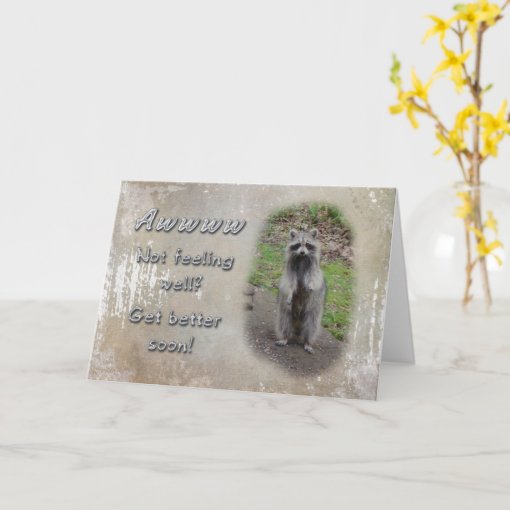 Get Well Greeting Card - Raccoon Feel Better Soon | Zazzle