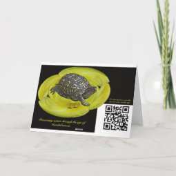 Get Well Greeting Card - Raccoon Feel Better Soon | Zazzle