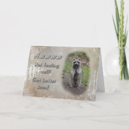 Get Well Greeting Card - Raccoon Feel Better Soon | Zazzle