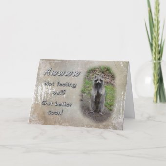 Get Well Greeting Card - Raccoon Feel Better Soon | Zazzle
