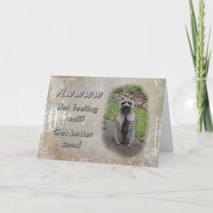 Get Well Greeting Card - Raccoon Feel Better Soon | Zazzle