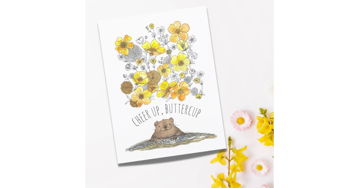 Get Well Groundhog Cheer Up, Buttercups Watercolor Postcard | Zazzle