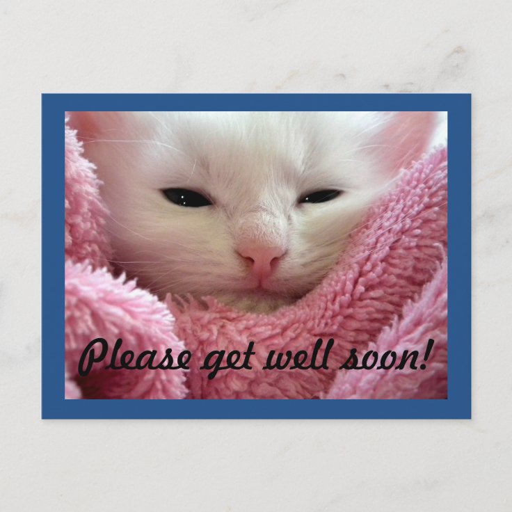 Get Well Kitten Postcard | Zazzle