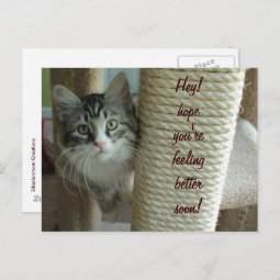 Get Well Postcard | Zazzle