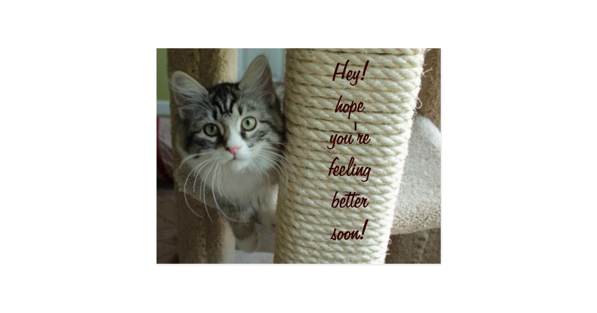 Get Well Postcard | Zazzle.com