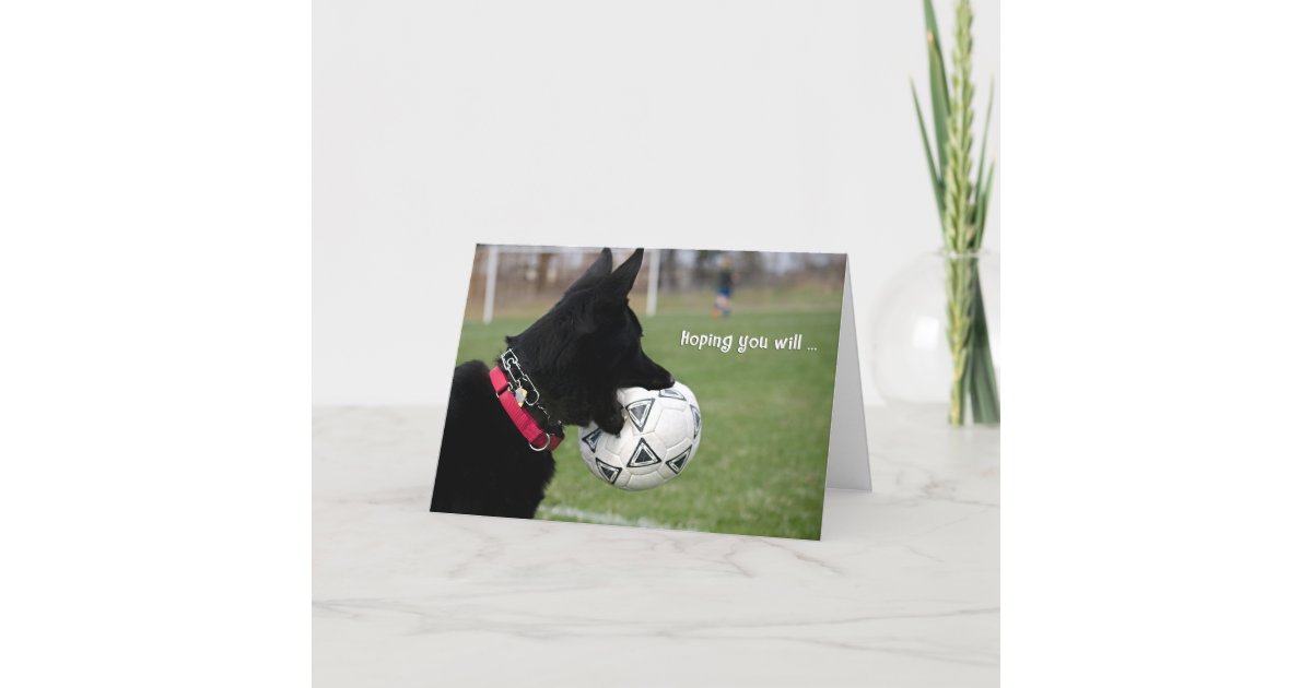 Get Well Soccer Dog Card | Zazzle.com