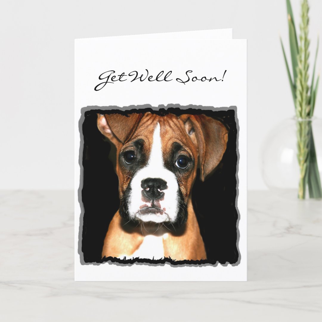 Get well soon Boxer Puppy greeting card | Zazzle