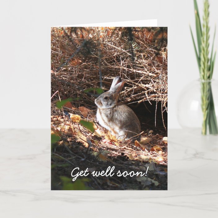 Get Well Soon Bunny Rabbit Greeting Card | Zazzle.com