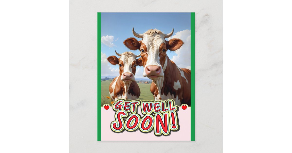 get well soon cows postcard | Zazzle