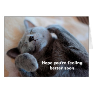 Funny Cat Get Well Cards - Greeting & Photo Cards | Zazzle