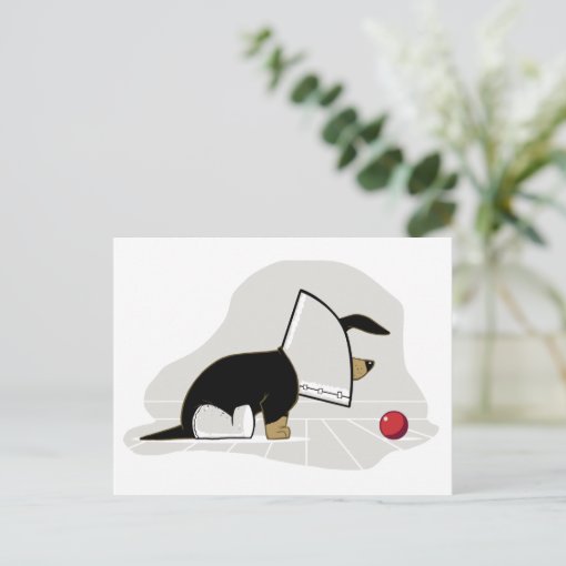 Get Well Soon - Dog Head Cone Postcard | Zazzle