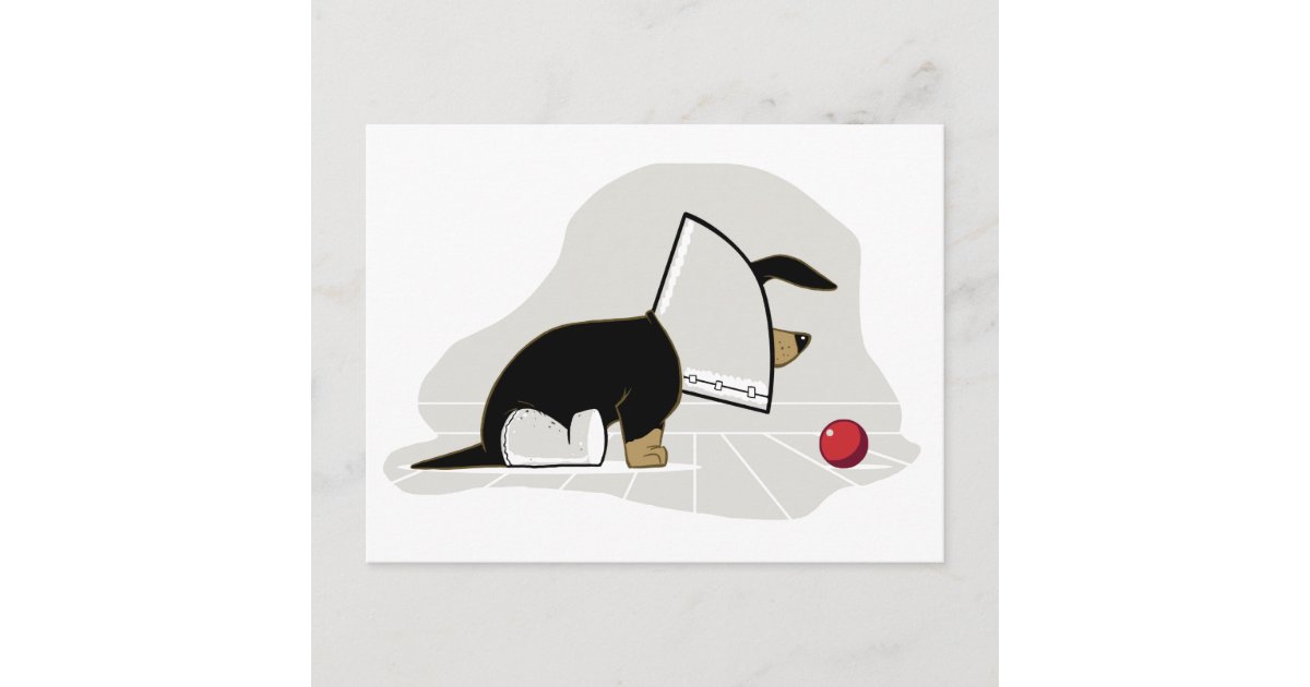 Get Well Soon - Dog Head Cone Postcard | Zazzle