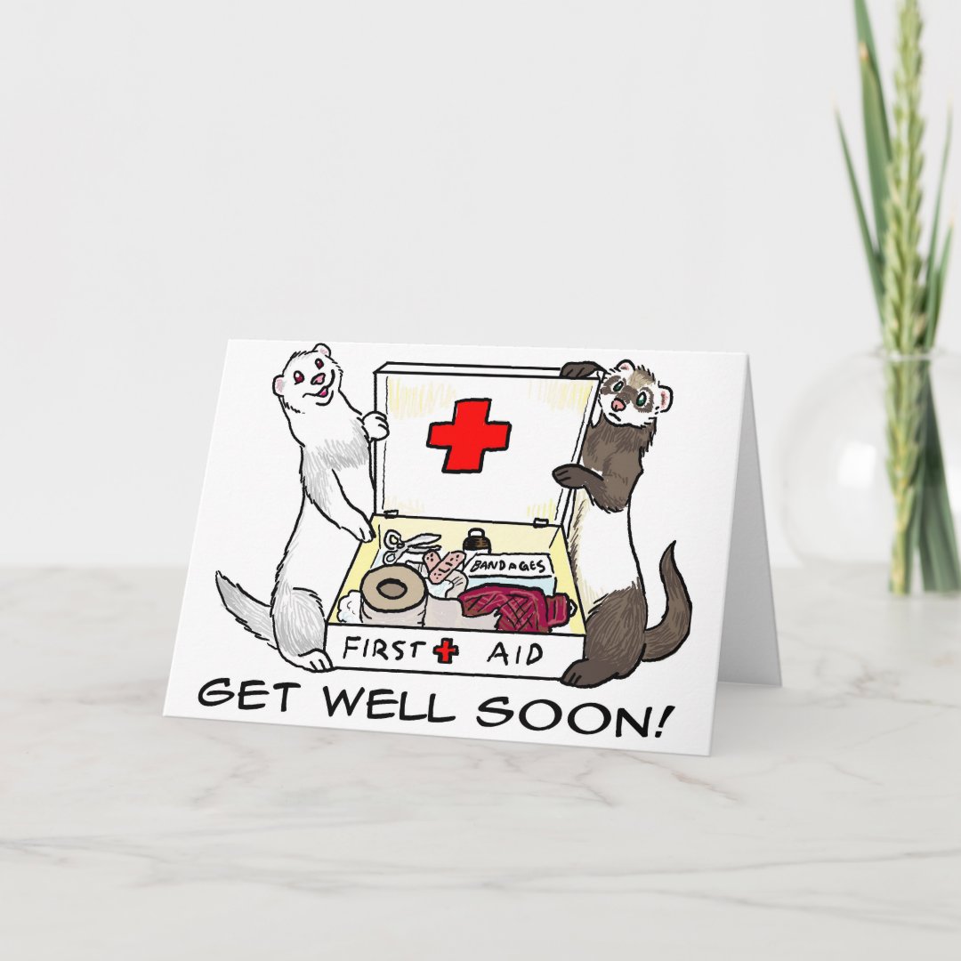 Get Well Soon ferret card | Zazzle
