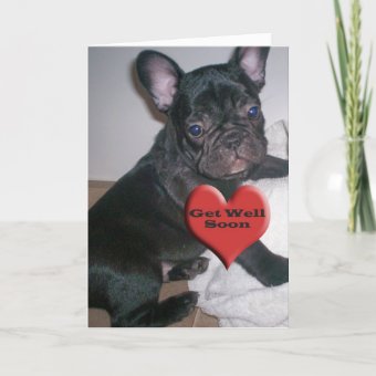 Get Well Soon French Bulldog Card | Zazzle