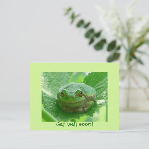 Get well soon - green frog with smile postcard | Zazzle