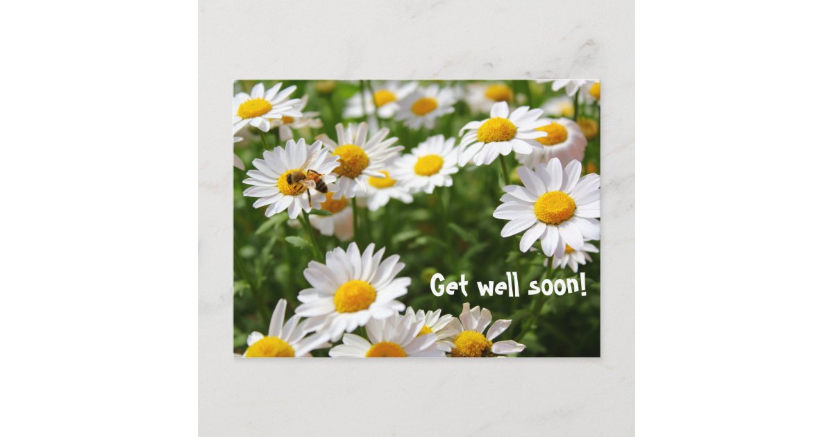 Get well soon postcard | Zazzle