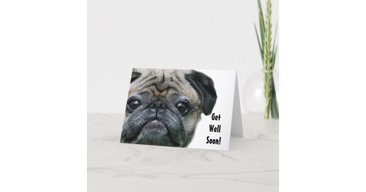Get Well Soon Pug Dog greeting card | Zazzle