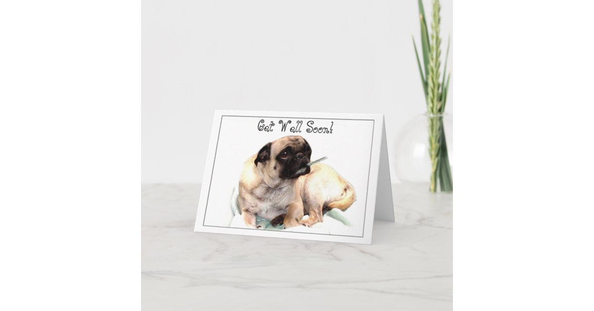 Get Well Soon pug greeting card | Zazzle