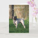 Get well soon Pug in the park greeting card | Zazzle