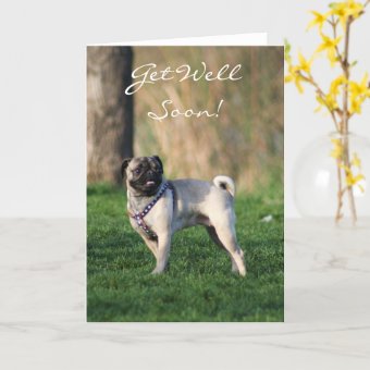 Get well soon Pug in the park greeting card | Zazzle