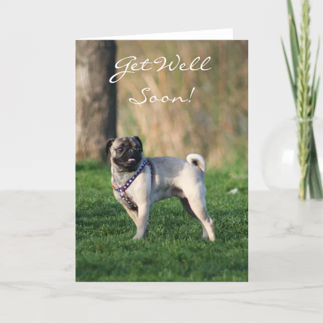 Get well soon Pug in the park greeting card | Zazzle