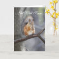 Get Well Soon Red Squirrel Greeting Card | Zazzle