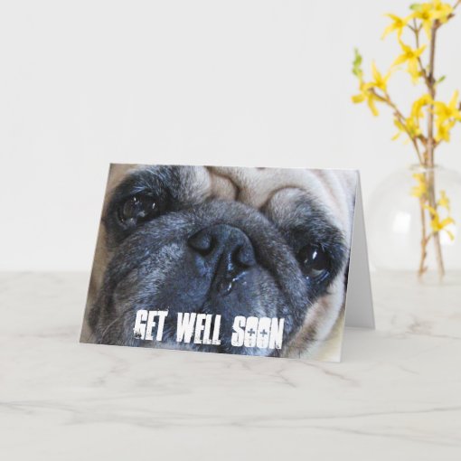 Get Well Soon Sick Pug Dog Card | Zazzle