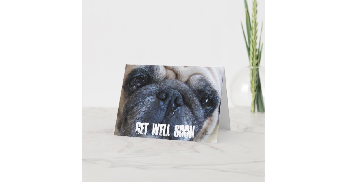 Get Well Soon Sick Pug Dog Card | Zazzle