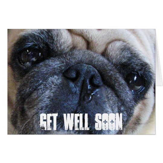 Get Well Soon Sick Pug Dog Card | Zazzle.com