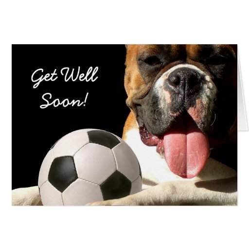 Get Well Soon Boxer Puppy