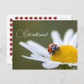 Get well soon with cute little ladybugs postcard | Zazzle