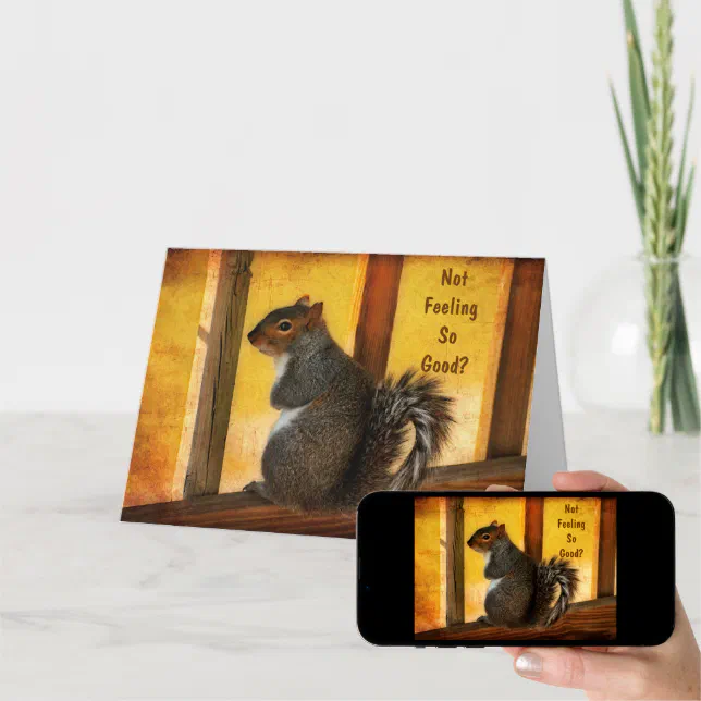 Get Well - Squirrel Greeting Card | Zazzle