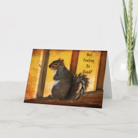 Get Well - Squirrel Greeting Card | Zazzle.com
