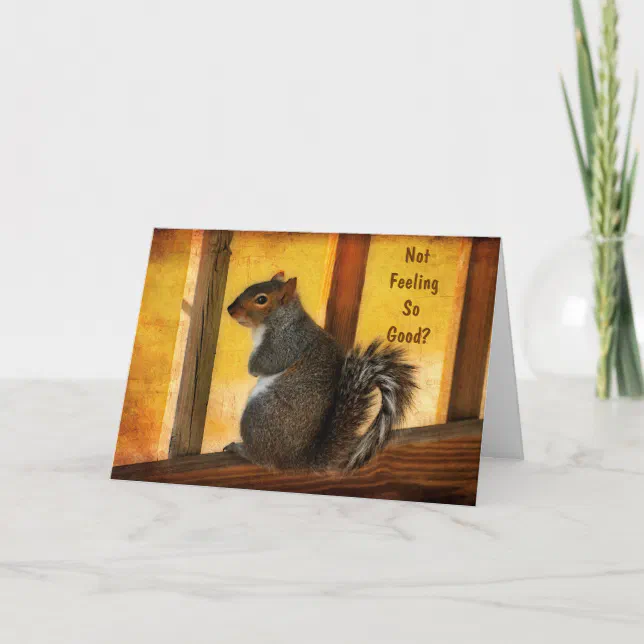 Get Well - Squirrel Greeting Card | Zazzle