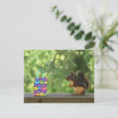 Get Well Squirrel Postcard | Zazzle