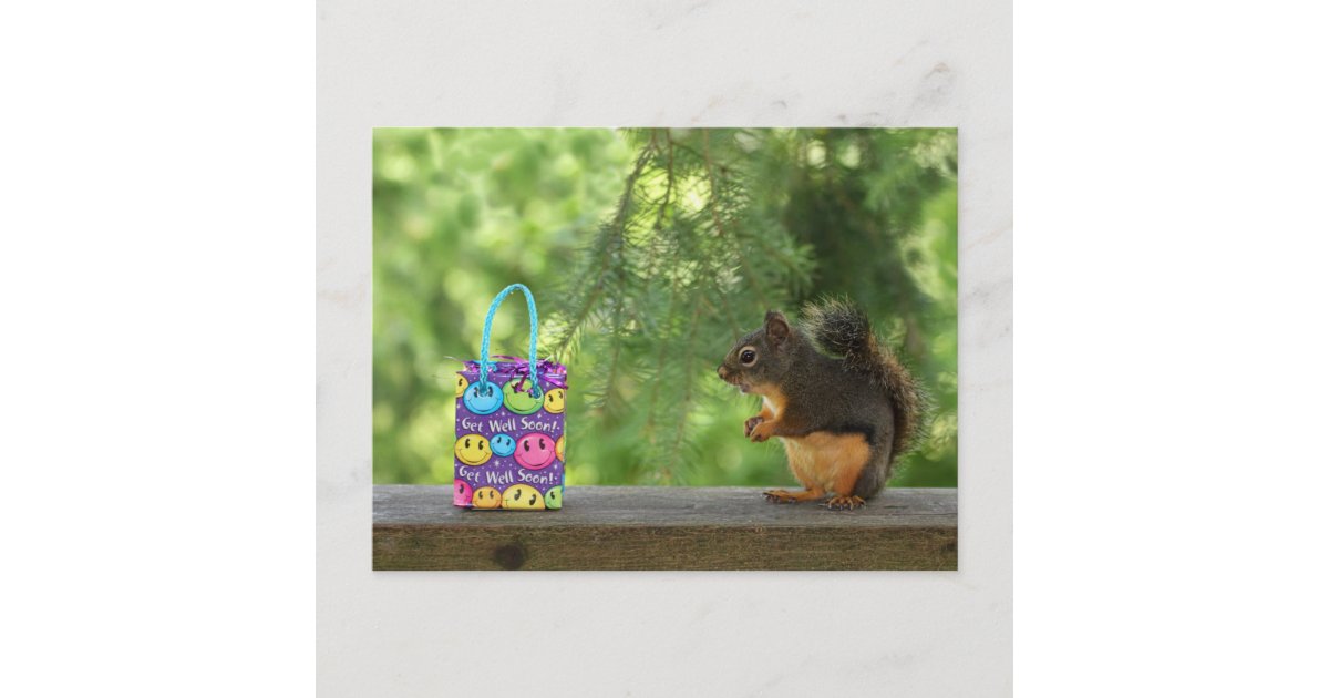 Get Well Squirrel Postcard | Zazzle