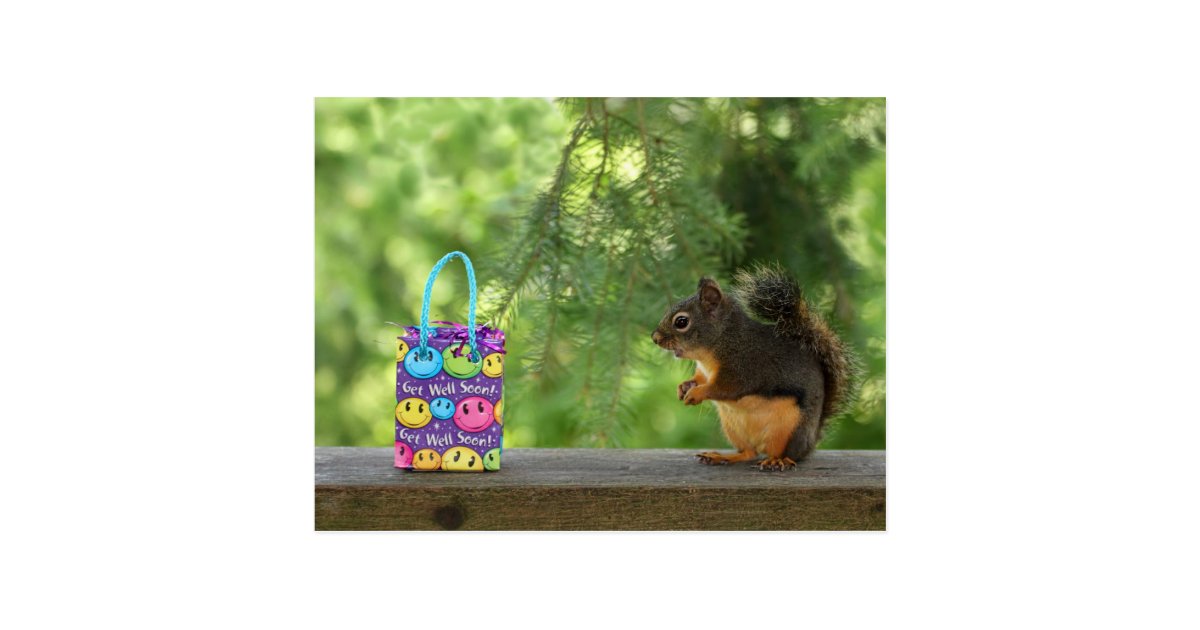 Get Well Squirrel Postcard | Zazzle.com