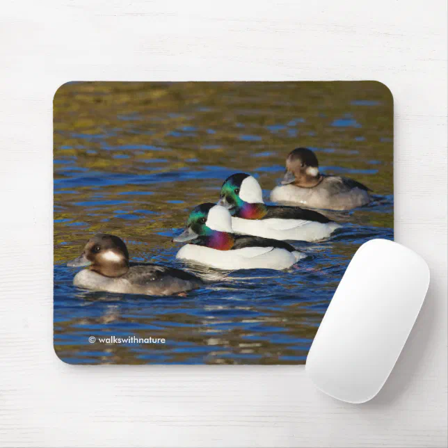 Getting My Ducks in a Row: Four Buffleheads Mouse Pad | Zazzle