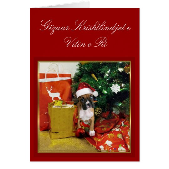 Gëzuar Krishtlindjet e Vitin e Ri boxer card | Zazzle.com
