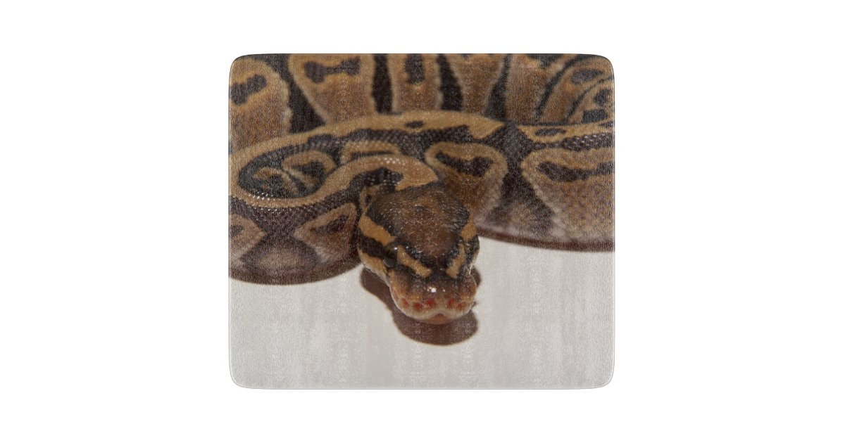 Ghost Ball Python Cutting Board | Zazzle