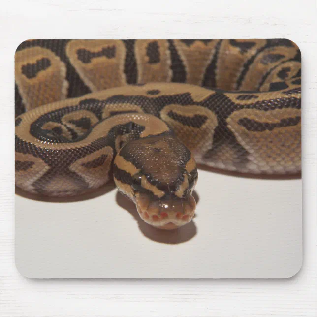 Ghost Ball Python Mousepad | Zazzle