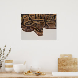 Ghost Ball Python Poster | Zazzle