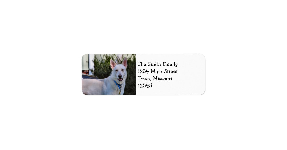 Ghost Label | Zazzle