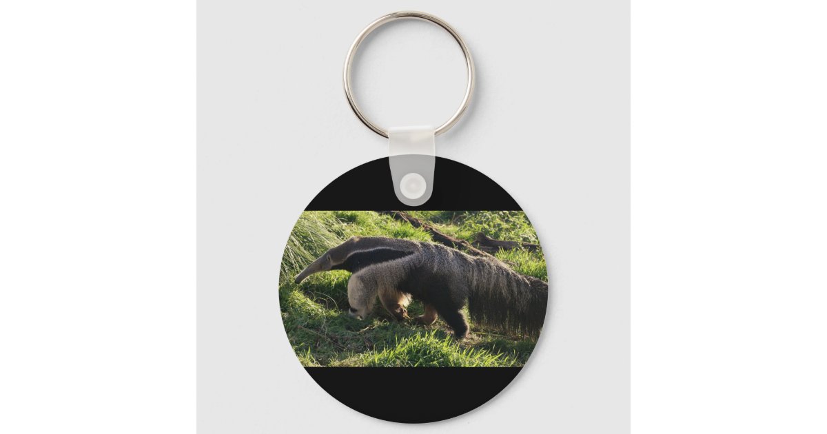 Giant Anteater Keychain | Zazzle