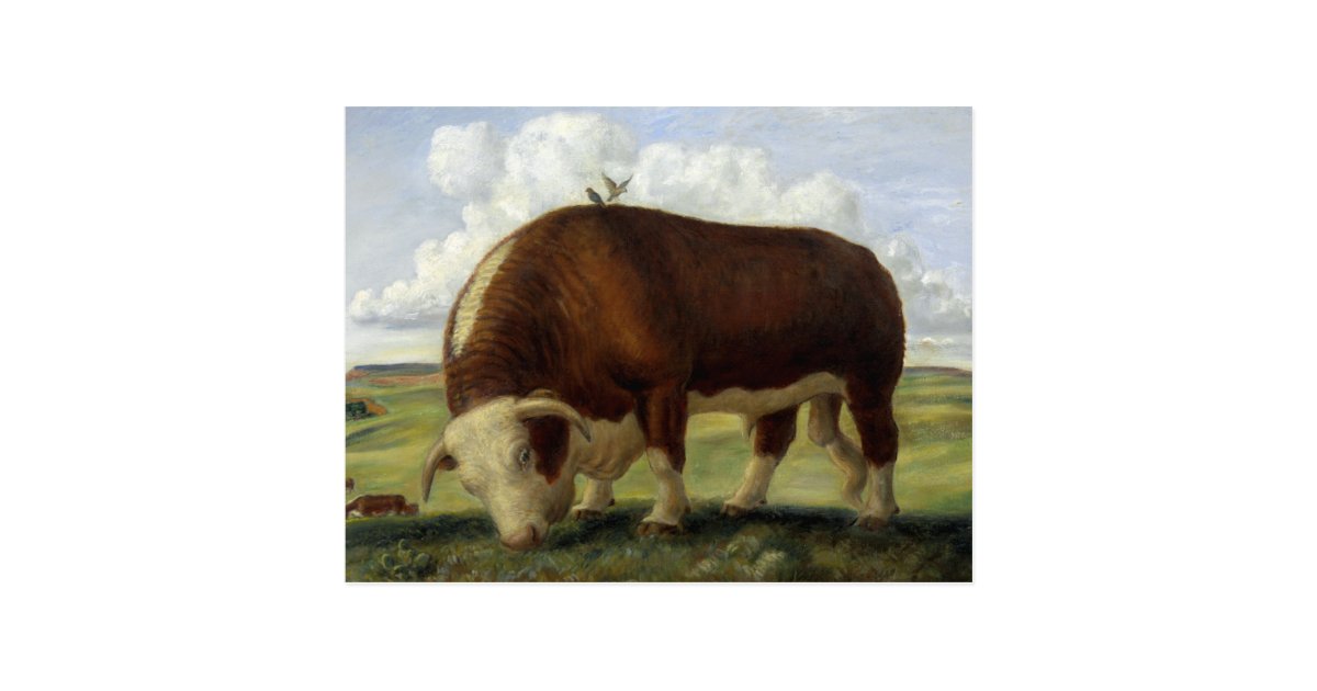 Giant Bull Postcard | Zazzle.com