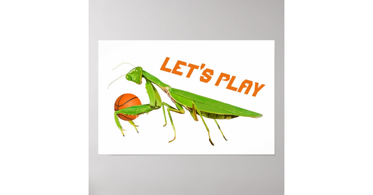 Giant Green Praying Mantis Basketball Poster | Zazzle