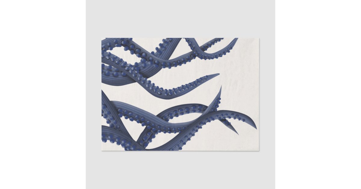 Giant Octopus Tentacles Tissue Paper | Zazzle