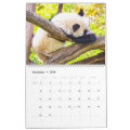 Giant panda babies calendar | Zazzle