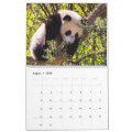 Giant panda babies calendar | Zazzle