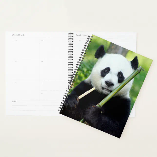 Giant Panda Holding Bamboo Planner | Zazzle